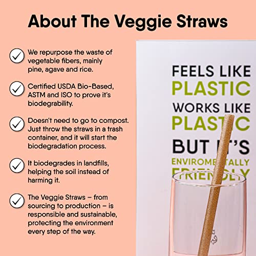 100% Biodegradable Eco-Friendly Wrapped Straws, 100ct – 8.25"H, Made of Vegetable Fibers