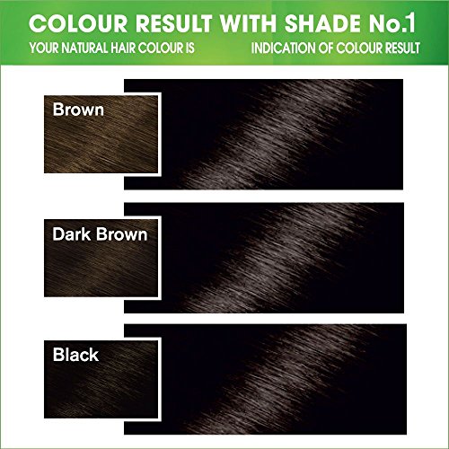 24ml+16gm-garnier Color Naturals Cream Nourishing Hair Colour Natural Black # 1