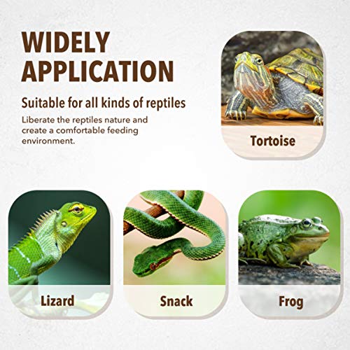 POPETPOP Reptisoil Reptiles Reptile Feeding Bowl Resin Thicken Water Dish Bowl Breeding Tray Feeding Plate for Lizard Snake Gecko Turtle Iguana Tortoise Reptisoil Auto Feeder