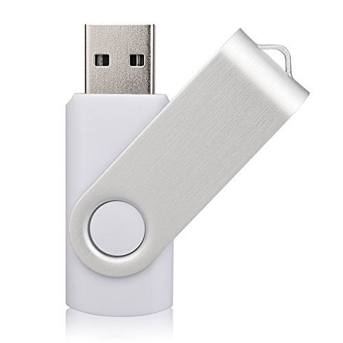 Aiibe 5pcs 8GB USB Flash Drive Pendrives 8 GB Bulk USB 2.0 Thumb Drives Multicolor USB Memory Stick Jump Drive Zip Drives (8G, 5 Pack, 5 Colors : Black Red Yellow White Purple)
