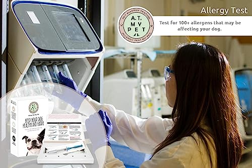 Allergy Test My Pet Dog Sensitivity and Intolerance Testing Kits Home Sample Collection Kit for Dogs Allergy