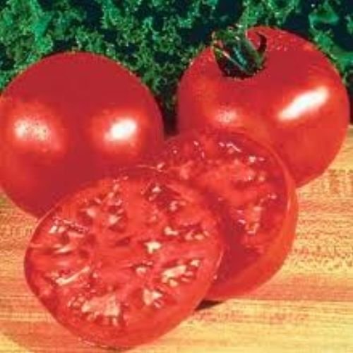 100 semi Big Boy pomodoro