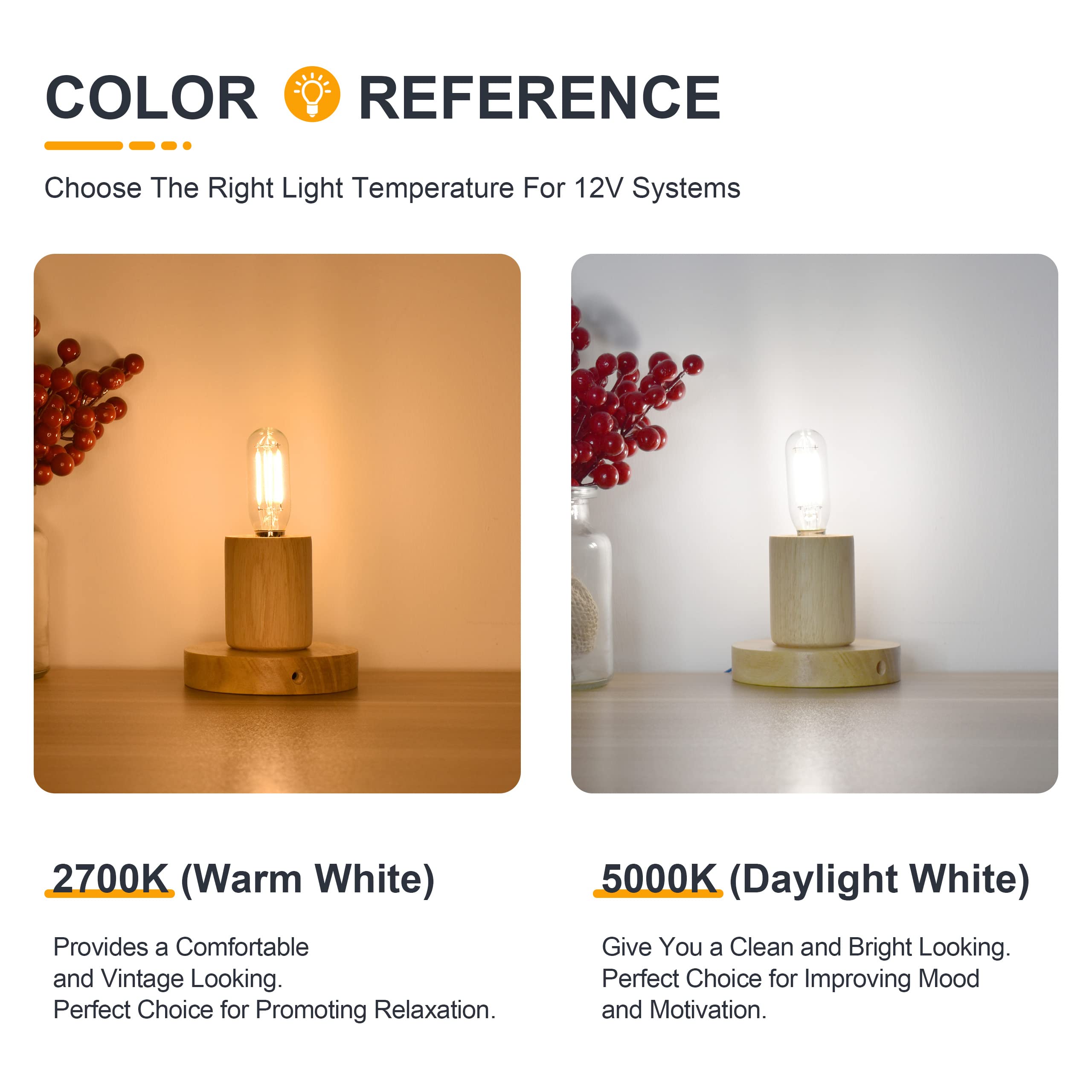 12 Volt Light Bulb 12V LED Bulbs A19 4W 2700K Warm White E26 Low Voltage Lamp 400lm (40Watt Equivalent) 24V 24Volt for RV Camper Marine,Solar Battery System Lighting,Pack of 2,A60-12V-4W-27K