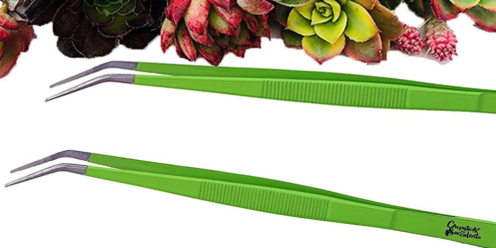 Tweezers For Succulents Duo