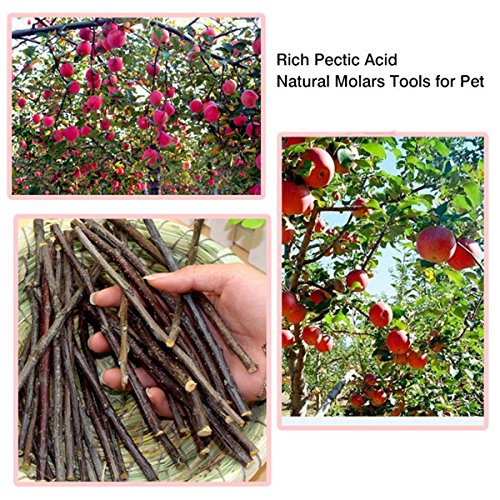 500g Organic Apple Sticks for Rabbits Wood Tree Branches Pet Snacks Chew Toys Branch for Guinea Pigs Chinchilla Squirrel Bunny Hamster Small Animals Teeth Grinding