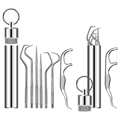 7Pcs 2 Set Portable Stainless Steel Toothpicks Pocket Set, Reusable Metal Toothpicks Cleaning Kit with Holder for Outdoor Picnic Camping Traveling β¦
