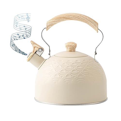 2.5L Stainless Steel Tea Kettle Teapot with Foldable Anti-Heat Handle,for Gas Hobs, Induction and Electric Hobs▂19 * 23cm/7.48"*9.06"