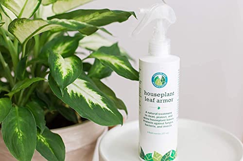 Houseplant Resource Center Plant Leaf Armor β Leaf Shine and Indoor Plant Cleaner Spray β Fortifies and Protects Indoor Plants and Keeps Leaves Green & Gorgeous