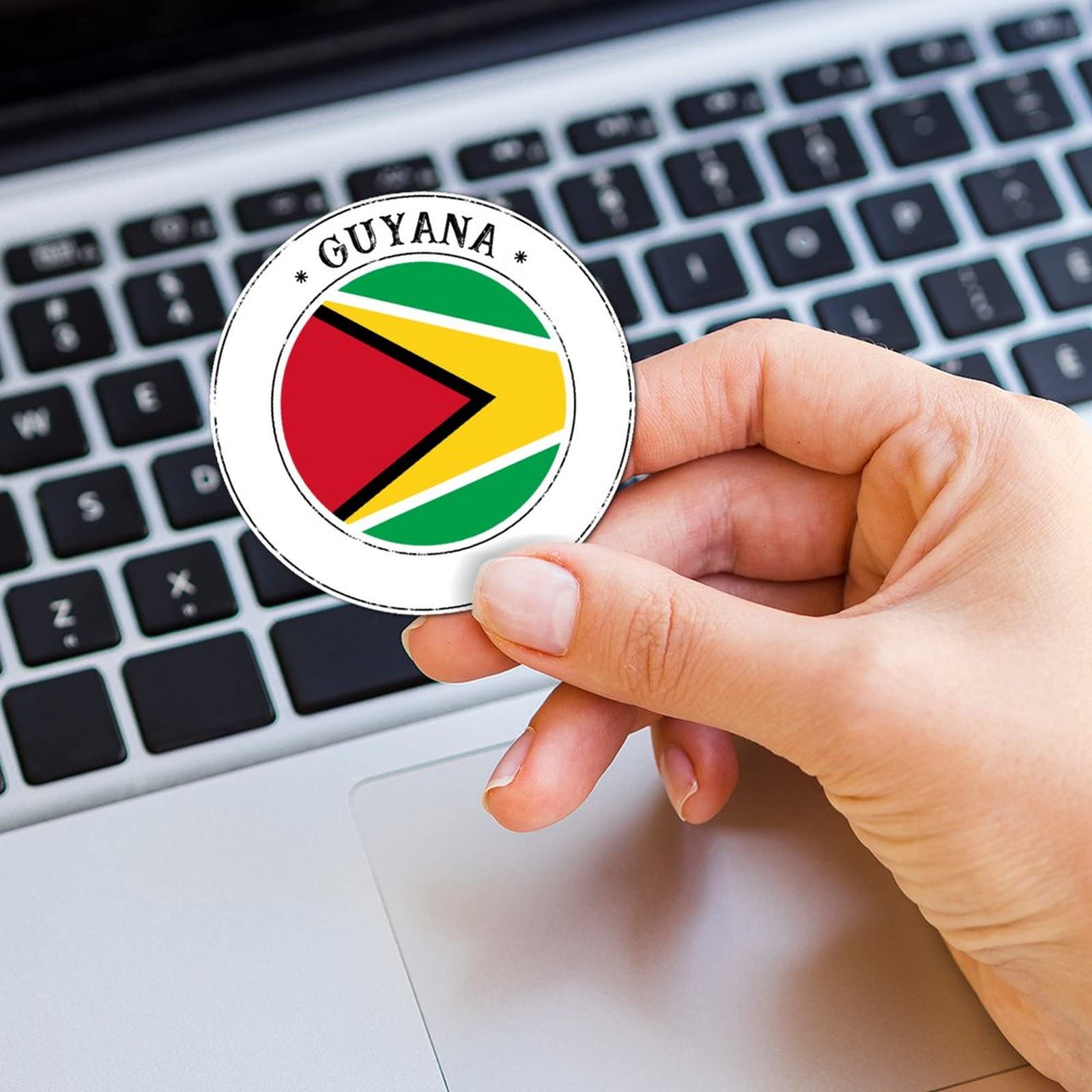 100 PCS Guyana Flag Stickers for Kids Guyana Patriotic Stickers Popular Country City Souvenir Labels Stickers for Water Bottles Laptop Computer Envelope Seals & Goodie Bags,1.5 Inch