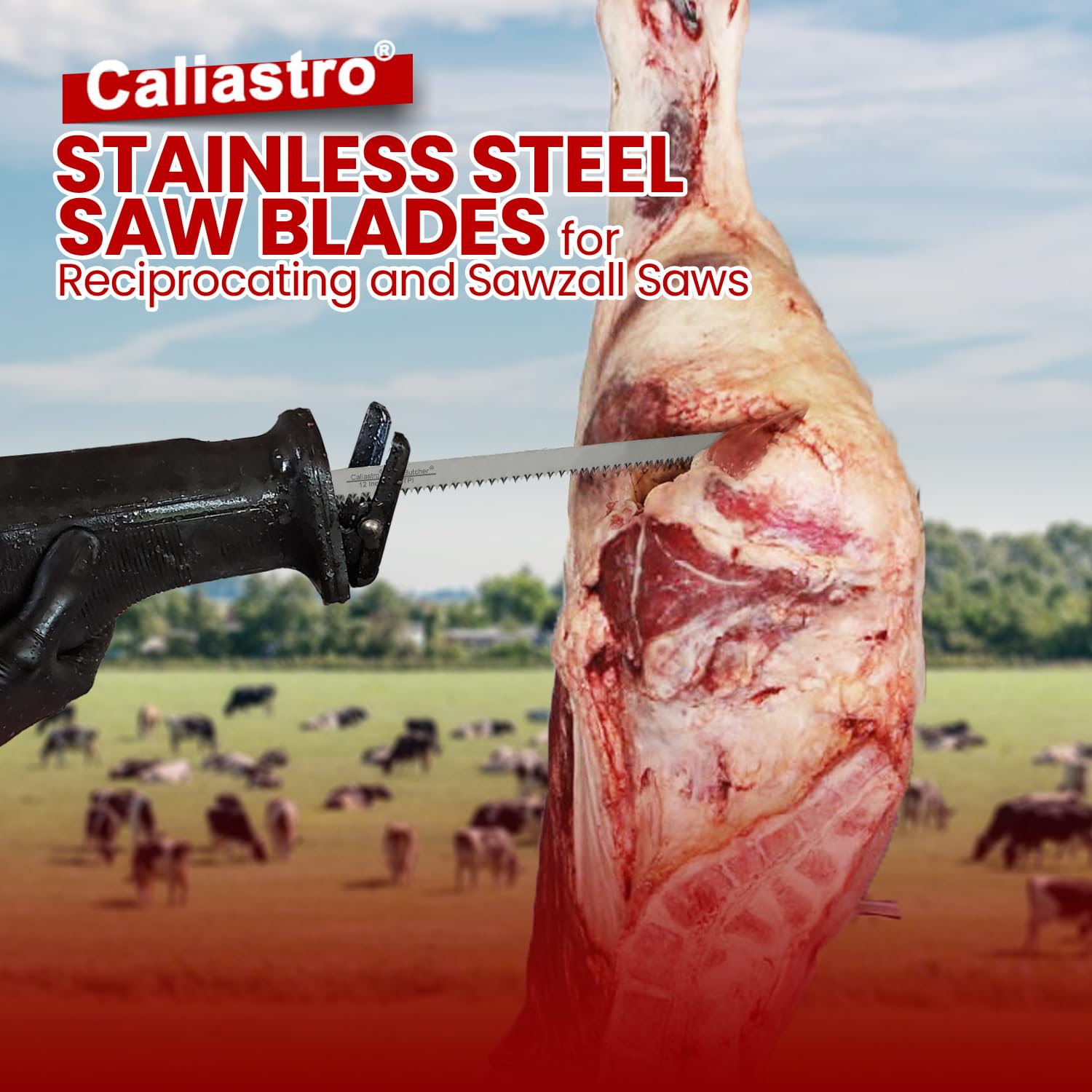 12-Inch Stainless Steel Frozen Meat Bone Cutting Saw Blades for Reciprocating and Sawzall Saws - 5 Pack - Caliastro