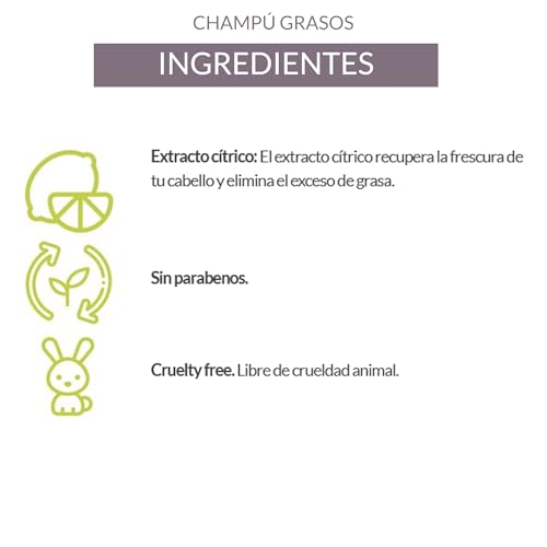 ALEA - Anti-Grease Shampoo - Greasy Hair Shampoo - 500 ml - with Lime Extract - Controls Excess Grease in Hair - Healthy Scalp - Soft Hair - Paraben-Free