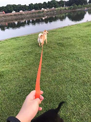 AmaGood Dog/Puppy Obedience Recall Training Agility Lead-15 ft 20 ft 30 ft 50 ft Long Leash-for Dog Training,Play,Safety,Camping (15 feet, Blue)