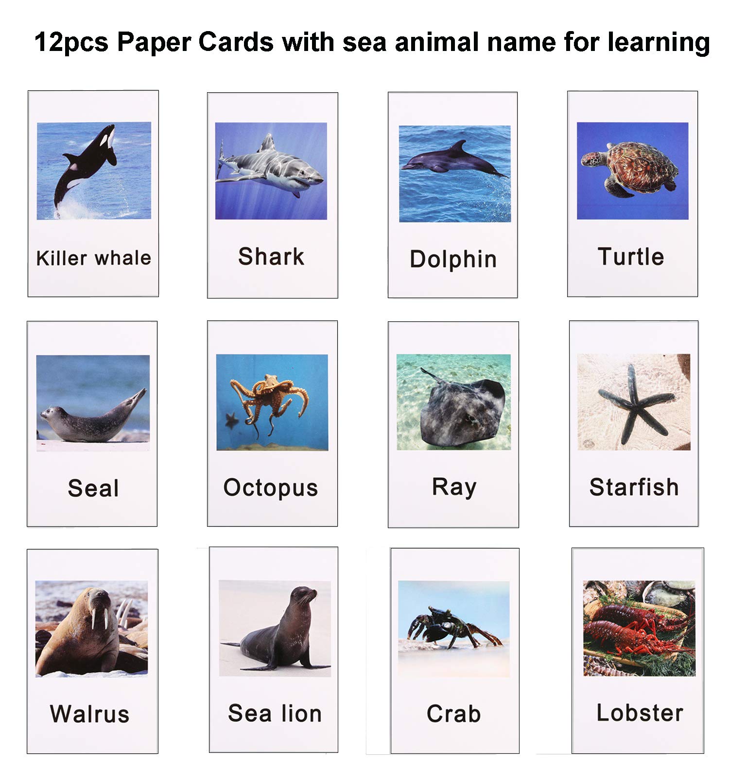 12 pcs Ocean Sea Animal Figures with 12pcs Matching Cards - OOTSR Ocean Creatures with Flash Cards for Education, Insect Themed Party, Playtime and Treasure Hunt
