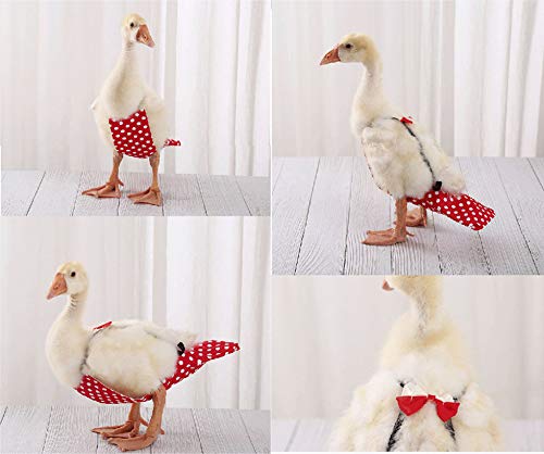 ABCD Chicken Diapers, Duck Diapers, Adjustable Chicken Diapers, Washable and Reusable, Chicken Costumes with Bows (Banana, M)