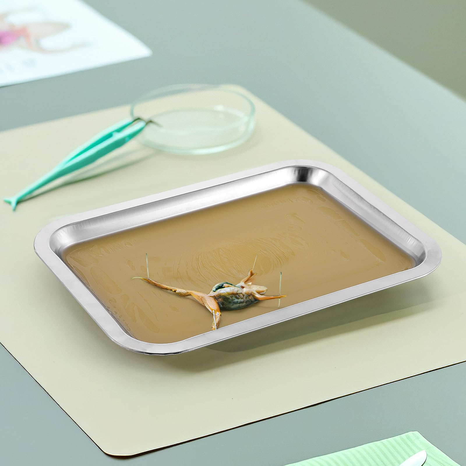 6Pack Premium Aluminum Dissection Pan with Wax, Disection Trays for Laboratory - Students - Science Experiments, 7" W 10" L