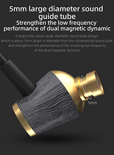 CCA CST in-Ear Earbud Headphones Dual Magnetic Dynamic Crystal-Clear Sound, Ergonomic Comfort-Fi for Computer & Laptop, Noise Isolating Earphones for Android Cell Phone (Gold No Mic) …