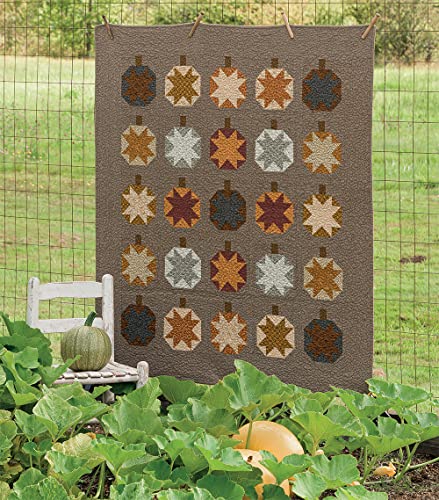 2023 That Patchwork Place Quilt Calendar: Includes Instructions for 12 Projects