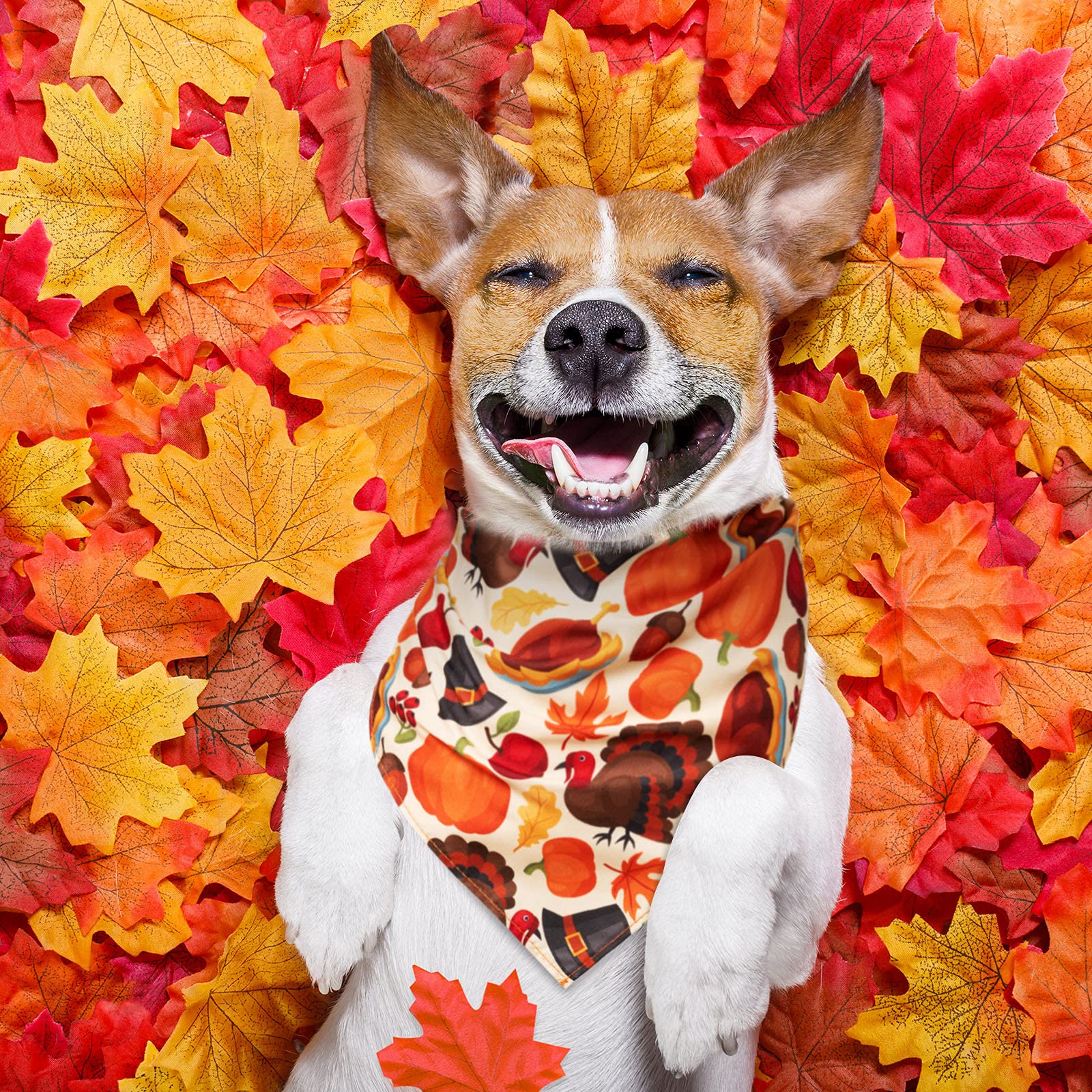 12 Pieces Thanksgiving Pet Bandana Fall Dog Bandanas Dog Fall Clothes Accessories Maple Leaf Pumpkin Patterned Autumn Pet Triangle Scarf Bibs for Large Small Dog Kerchief Cat Pet Fall Outfit Washable