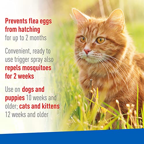Adams Plus Flea & Tick Spray For Dogs and Cats | Kills Adult Fleas, Flea Eggs, Flea Larvae, Ticks, and Repels Mosquitoes For Up To 2 Weeks | Controls Flea Reinfestation For Up To 2 Months | 16 Oz