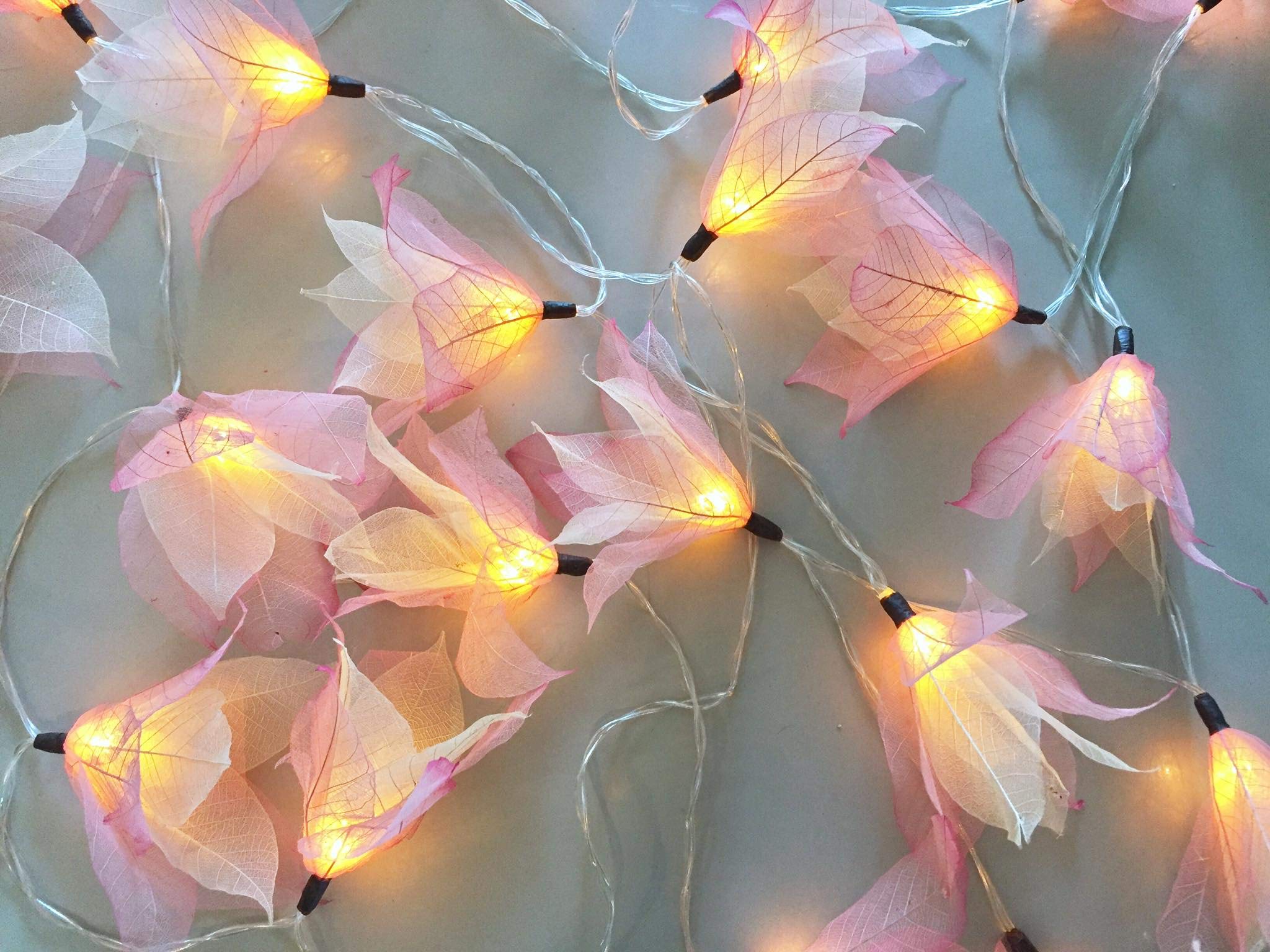 20 LED String Lights Pink Flower Fairy String Lights Leaves for Bedroom Window Curtain String Light Wedding Party Garden Outdoor Indoor Wall Decorations, Diameter 10cm (Long 9ft)
