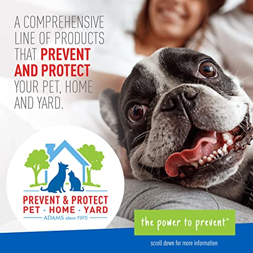 Adams Plus Flea & Tick Collar for Dogs, 7-Month Protection, Adjustable Collar Fits Small Dogs & Puppies, Kills & Repels Fleas, Flea Eggs, Flea Larvae, and Ticks, Kills Tick Larvae and Tick Nymphs