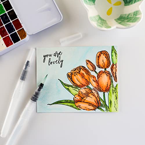 8 Pcs Alcohol Ink Blending Tool Set Including 6 Pcs Water Color Brush Pen 2Pcs Ink Air Blower for DIY Paint Tools Water Color Brush Pen Card Making Embossing Painting Rendering