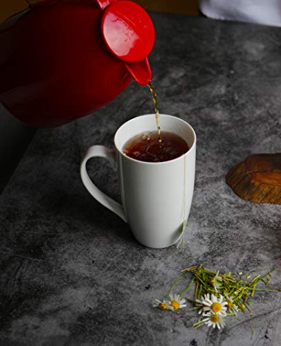 Amuse- Professional Barista Large Cozy Tall Mug for Coffee, Tea or Latte - Set of 6-16 oz