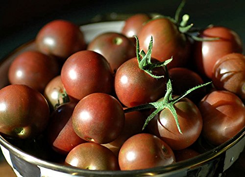 30+ Black Cherry Tomato Seeds, Heirloom Non-GMO, Low Acid, Indeterminate, Open-Pollinated, Sweet, Productive, from USA