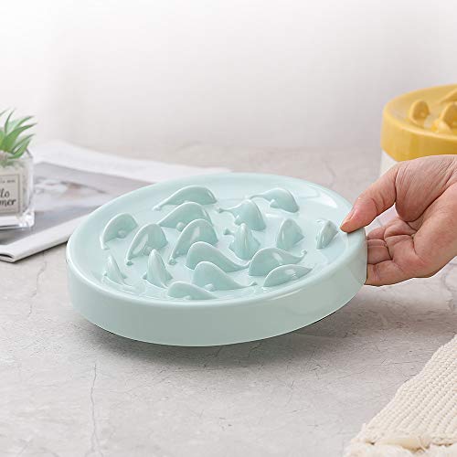 Slow Feeder Cat Bowl,Melamine Fun Interactive Feeder Bloat Stop Puzzle Cat Bowl Preventing Feeder Anti Gulping Healthy Eating Diet Pet Dog Slow Feeding Bowls Against Bloat, Indigestion and Obesity