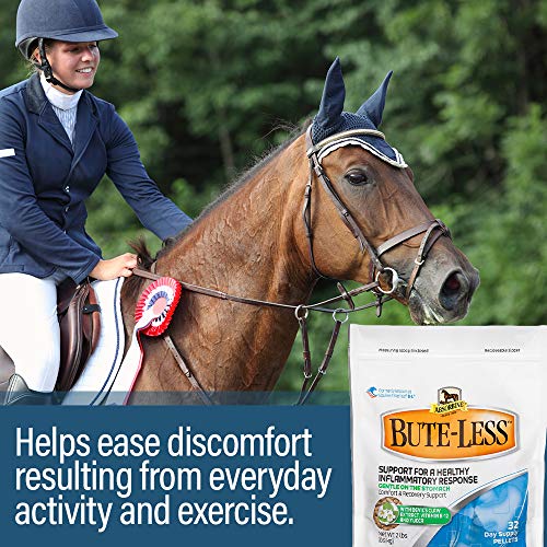 Absorbine Bute-Less Comfort & Recovery Supplement Pellets, Healthy Inflammatory Response, 2 lb / 32 Day Supply