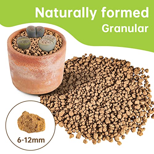 400g Akadama Soil Bonsai Soil - Sukh Akadama Bonsai Potting Soil Pon Substrate for Outdoor Indoor Plants Conifer Bonsai Tree Soil Outlet Top Dressing Lithops Ficusā¦