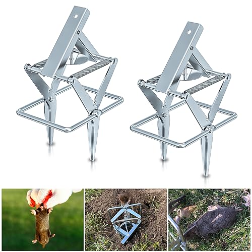 2 Pack Mole Traps That Kill Best, Scissor Mole Traps for Lawns Vole Traps Outdoor Use, Mole Trap Easy to Set Galvanized Steel Reusable Quick Capture Gopher