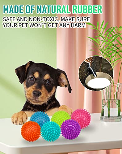 2.5" Squeaky Dog Balls for Small Medium Dogs, 6 Pack Small Dog Chew Toys with Spike, Puppy Toys for Teeth Cleaning and Training