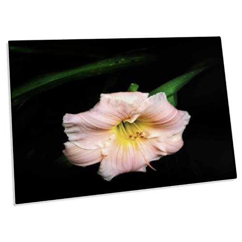 3dRose Pink Day Lilly with Green stalks - Desk Pad Place Mats (dpd-336441-1)