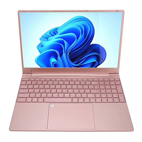 15.6in Laptop, Long Battery Life, 16GB RAM 256G ROM N5095 Processor HD Laptop, with Fingerprint Numeric Keypad for Windows 10 Backlit Keyboard, Thin Bezel, Num Pad, Detachable Webcam(16+256G)
