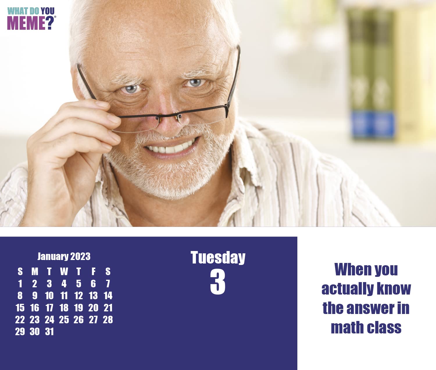 2023 What Do You Meme? Day-at-a-Time Box Calendar