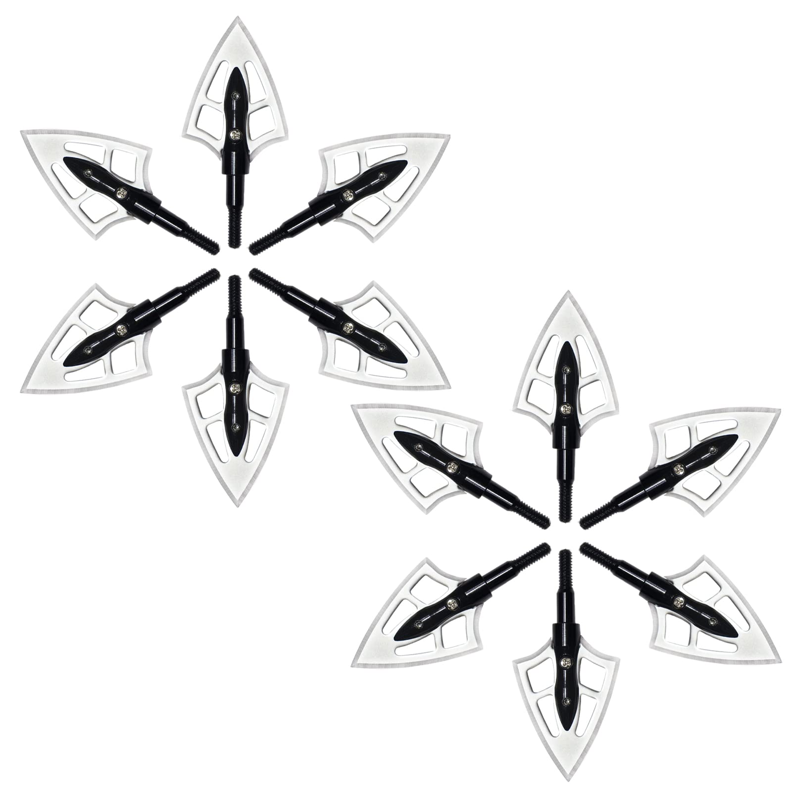 12Pcs Stainless Steel 100 Grain Broadheads 2 Blades Hunting Tips for Crossbow Compound Bow Archery Hunting