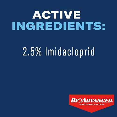 BioAdvanced Plant Food Insect Control Spikes, 10 Spikes