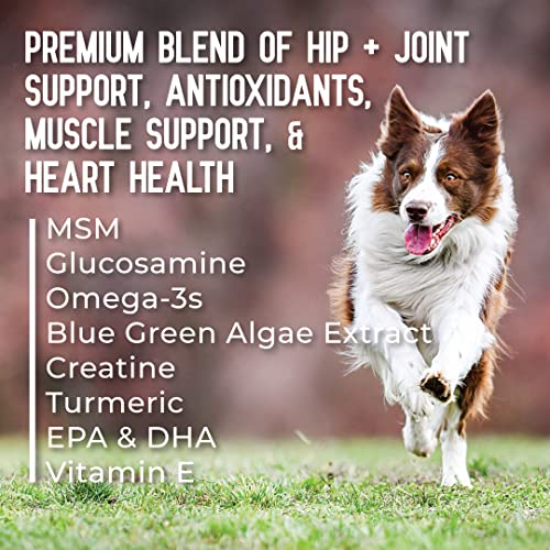ACTIVPHY Hip + Joint Supplement with Glucosamine, MSM, and Blue Green Algae Extract, Vet Formulated, Anti-Inflammatory, Arthritis Relief, & Antioxidants, Made in USA, For Dogs, 75 ct