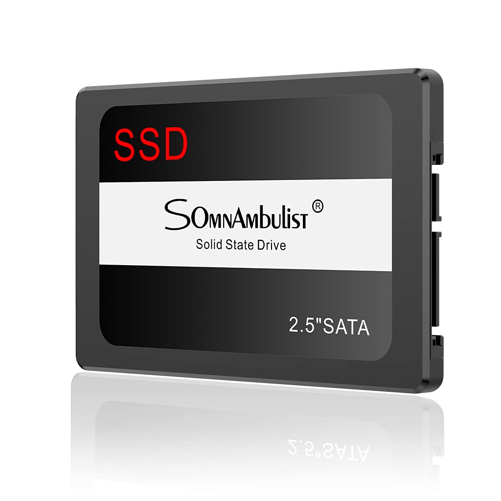 Somnambulist 60GB 120GB SSD 240GB Internal Solid State Drive - 2.5 Inch SATA for Computer, Desktop, PC & Laptop (Black Plastic -120GB)