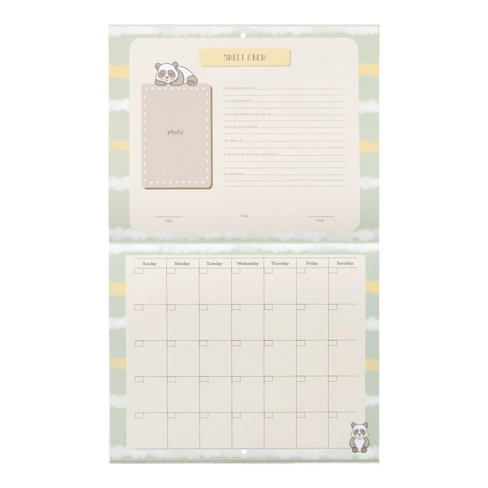C.R Gibson BA3-23934 Love You to The Moon and Back Gender Neutral Baby's First Year Calendar, 11" W x 9'' H