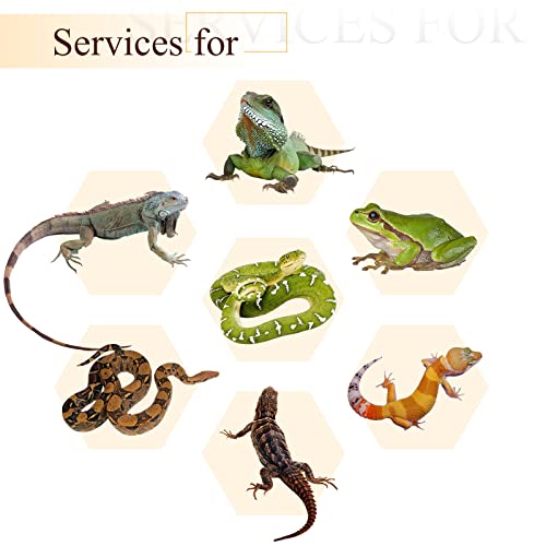 4 Pcs Reptile Vines, Flexible Bendable Jungle Climbing Vine Terrarium , Fake Plants for Reptiles, Artificial Leaves Terrarium Tank Reptile Pet Habitat Decor for Bearded Dragons, Lizard, Snake, Gecko