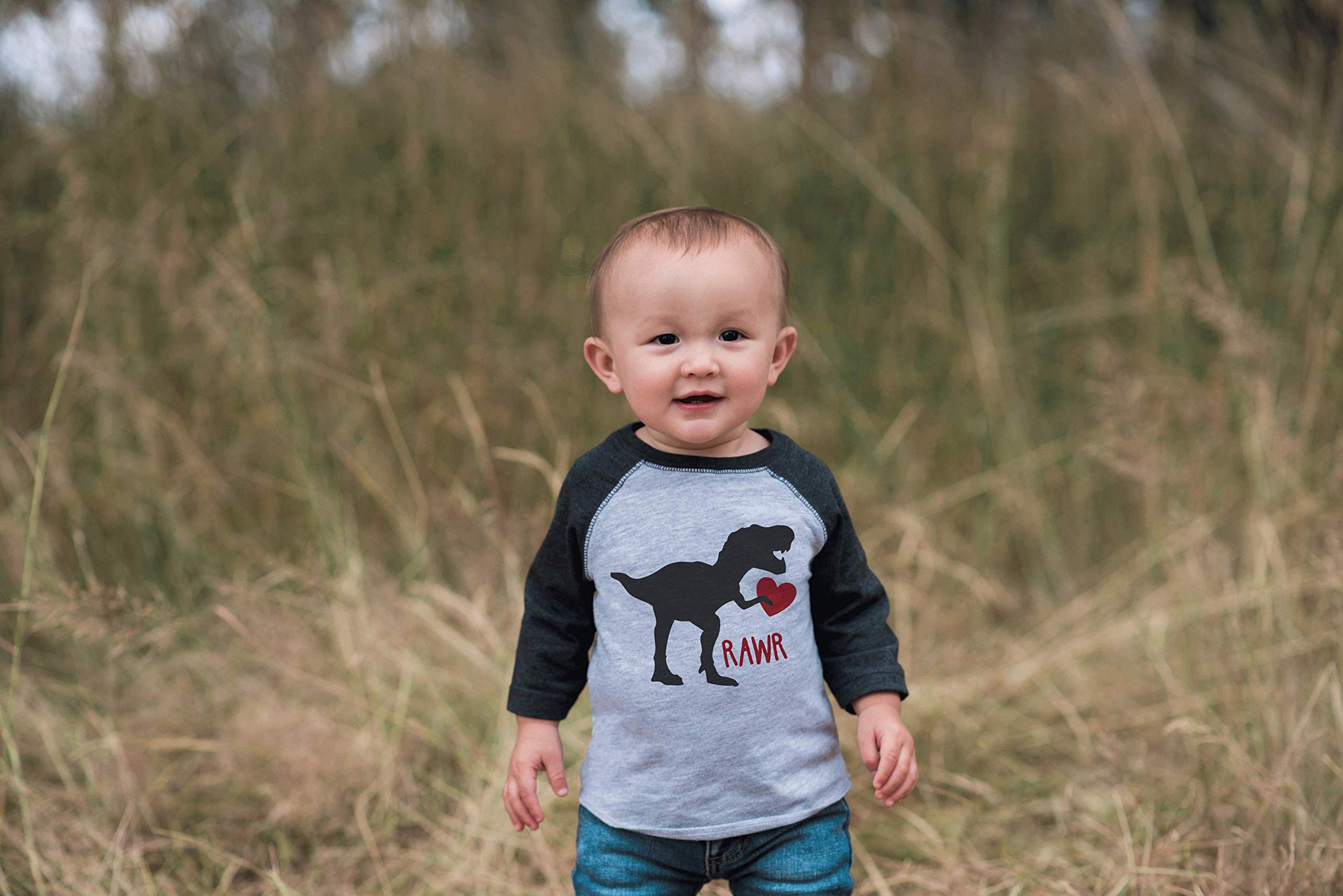 7 ate 9 Apparel Kids Dinosaur Happy Valentine's Day 4T Grey Raglan