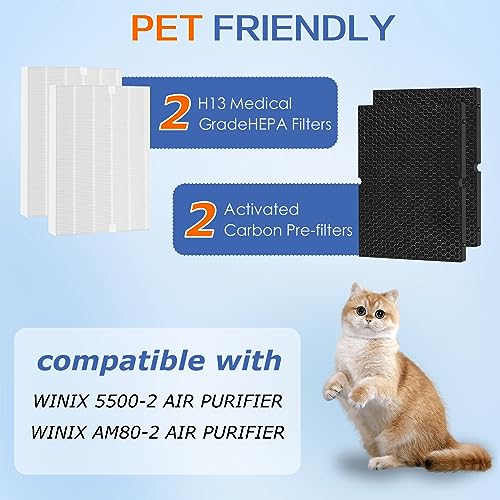 116130 Replacement Filter H for Winix 5500-2 Am80 Plasmawave Air Purifier True HEPA Carbon Filter, 2 Set