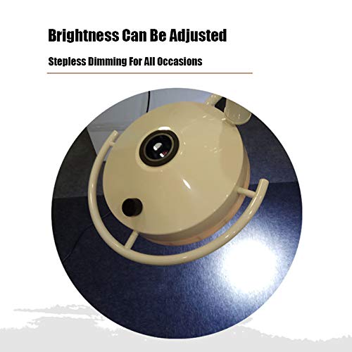 72W LED Stomatology Cold Light Shadowless Lamp Surgical Wall-Mounted Lamp Beauty Tattoo Pet Surgery Shadowless Light 24 Bulbs