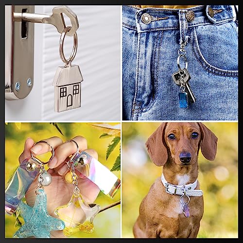 20PCS Key Chain Rings Teenitor Key Chain Rings 1 Inch Key Chain Rings for Crafts, Key Chain Rings, Keychain Key Chain Ring for Crafts
