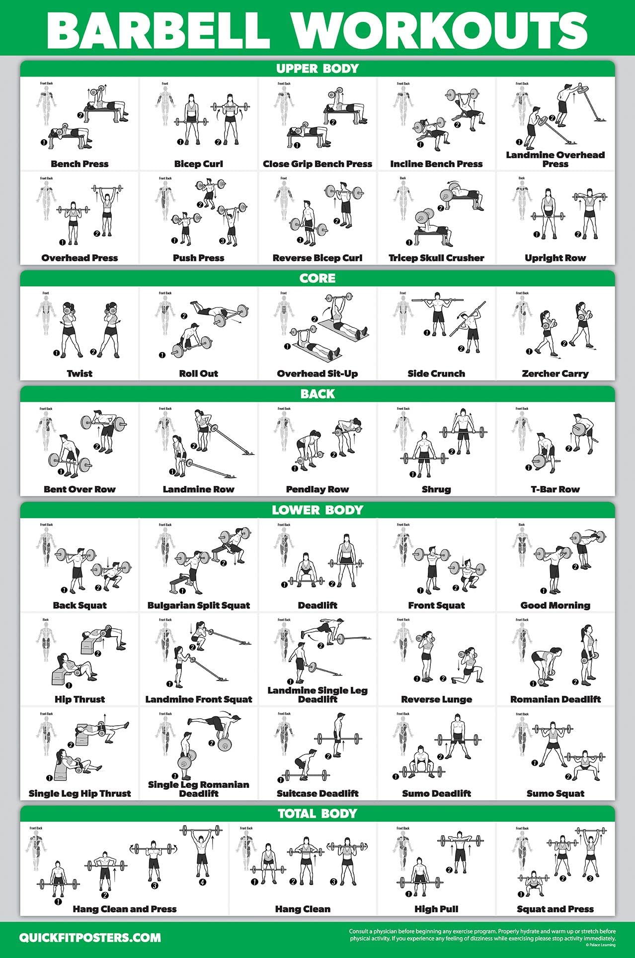 11 Pack - Exercise Poster Set: Dumbbell, Suspension, Kettlebell, Resistance Bands, Stretching, Bodyweight, Barbell, Yoga, Exercise Ball, Muscular System, Medicine Ball (LAMINATED, 18" x 24")