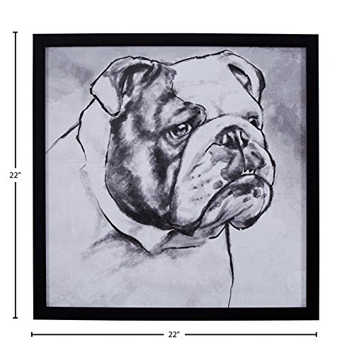 Amazon Brand β Stone & Beam Modern Black and White Print Wall Art of English Bulldog, Black Frame, 22" x 22"