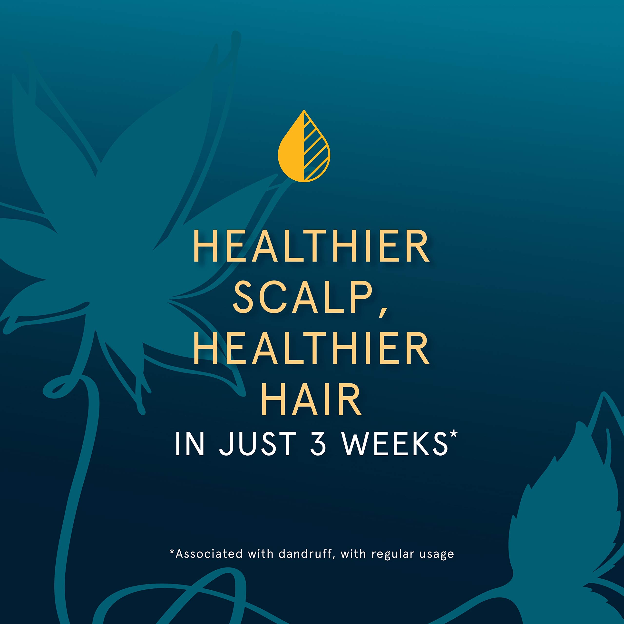 Head & Shoulders Royal Oils Curly Hair Product Nighttime Scalp Tonic Lotion with Peppermint and Hemp Oil, Sulfate Free, 3.4 Fl Oz