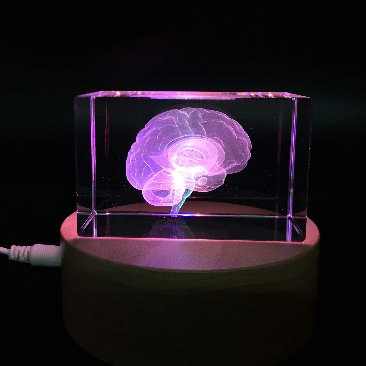 3D Human Brain Anatomical Model Paperweight(Laser Etched) in Crystal Glass Cube Science Gift (No Included LED Base)(3.1x2x2 inch)
